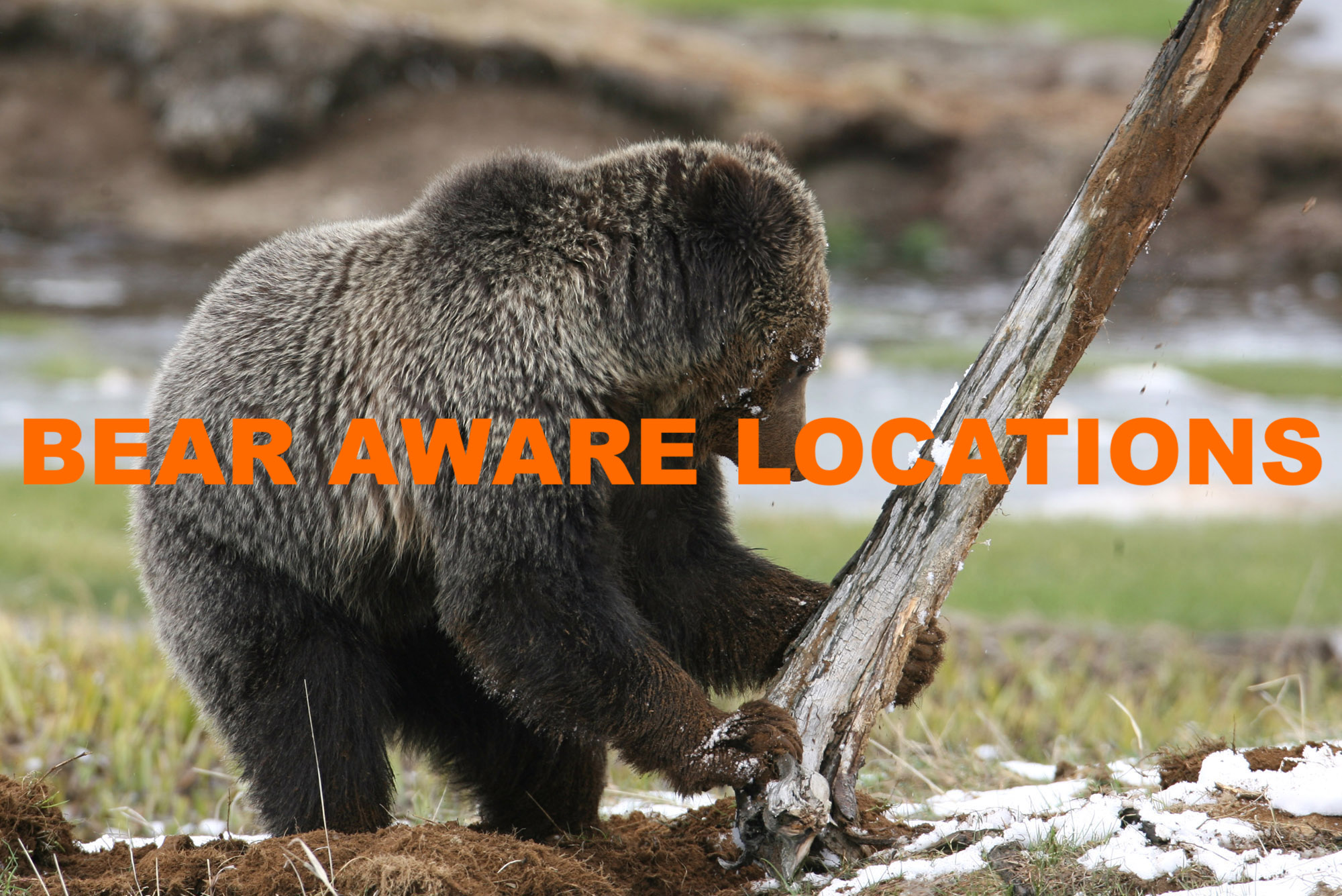Bear Aware Locations - Bear Aware